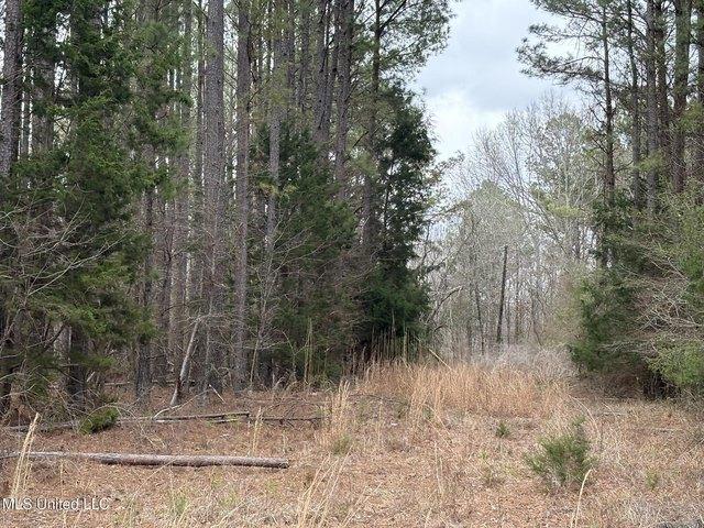 County Road 2211, Kosciusko, MS 39090