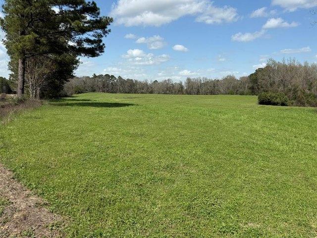 County Road 221, Elba, AL 36323