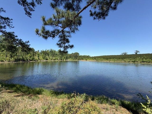 County Road 222, Abbeville, AL 36310