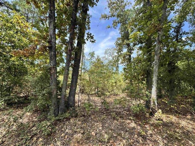 County Road 222, Henderson, TX 75652