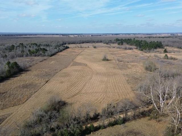 County Road 2255 Ln, Grapeland, TX 75844