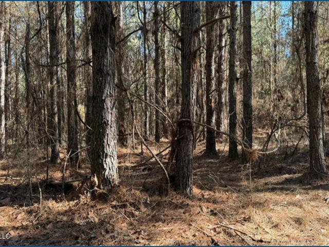 County Road 2257, Ethel, MS 39067