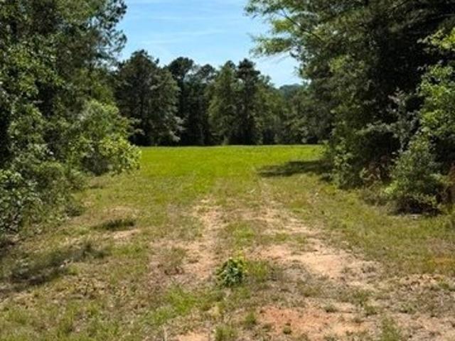 County Road 225, Ozark, AL 36311