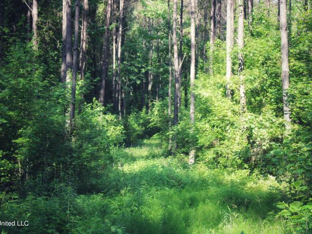 County Road 227, Coffeeville, MS 38922