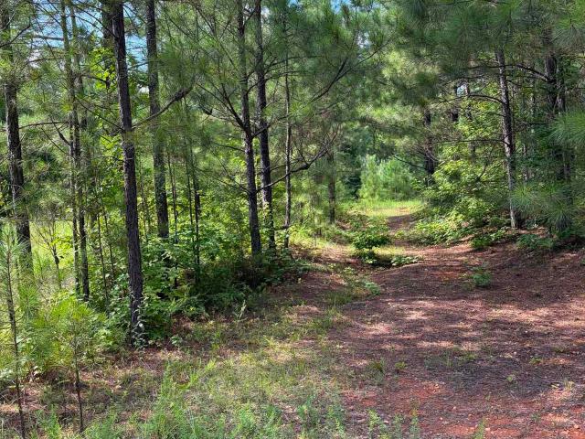 County Road 228 # 1