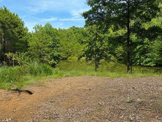 County Road 2291, Hartman, AR 72840