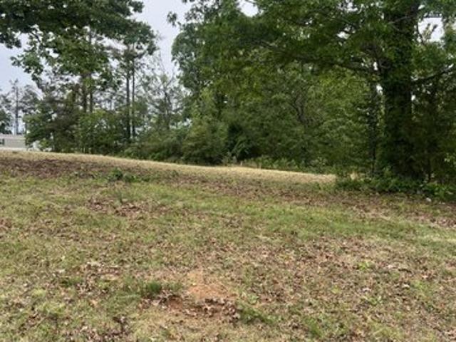 County Road 229, Farmington, MS 38834