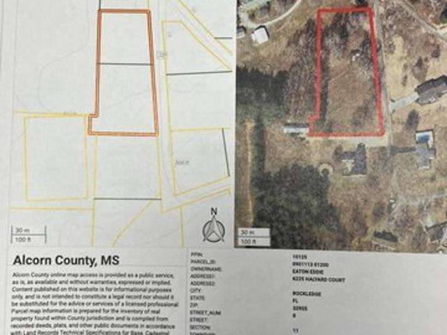 County Road 229, Farmington, MS 38834