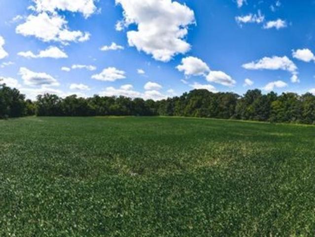 County Road 2300 E, Hindsboro, IL 61930