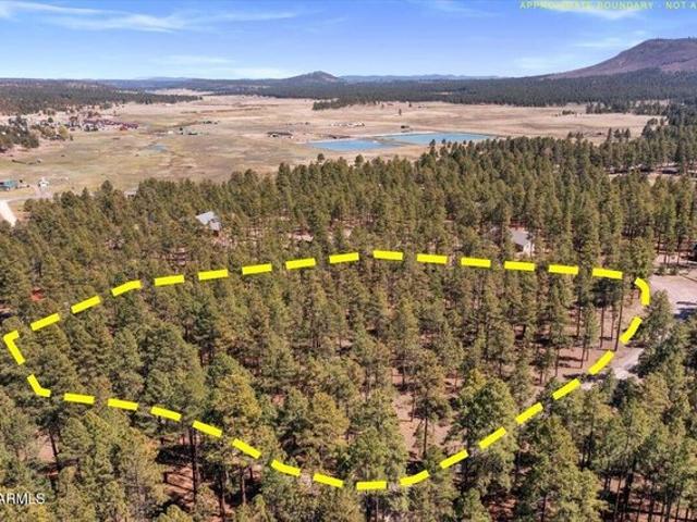 County Road 2325, Alpine, AZ 85920