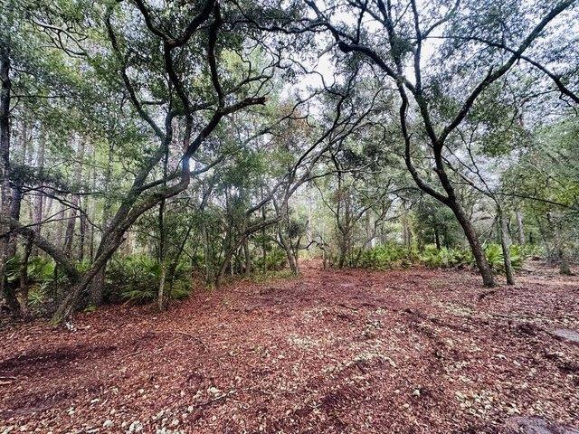 County Road 232, Bell, FL 32619