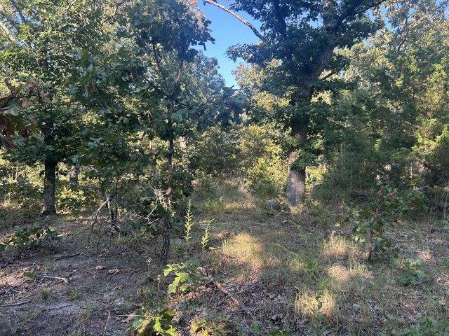 County Road 2340, Salem, MO 65560