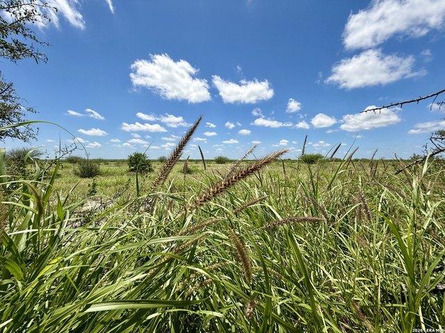 County Road 235, Three Rivers, TX 78071