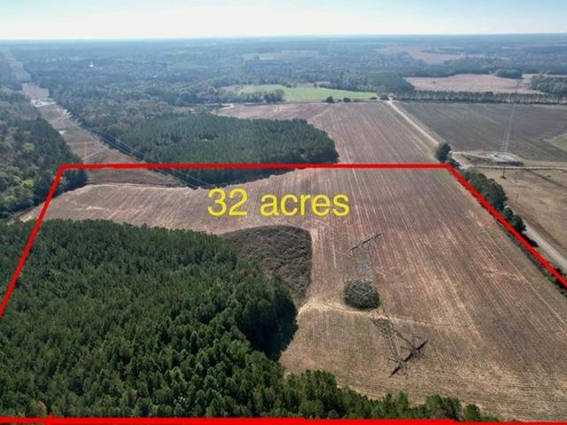 County Road 238, Headland, AL 36345