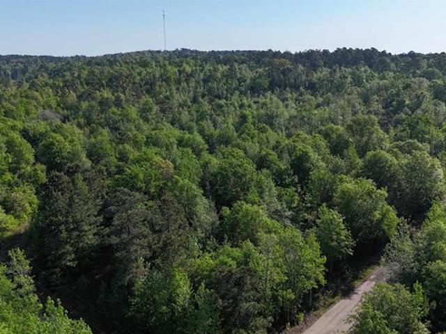 County Road 240, Tyler, TX 75705