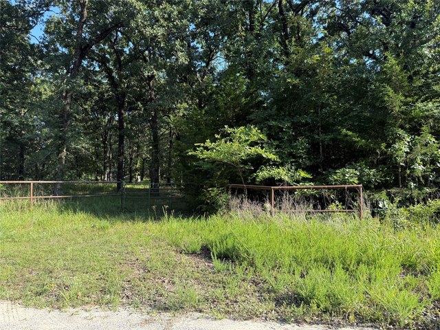County Road 2418, Honey Grove, TX 75446