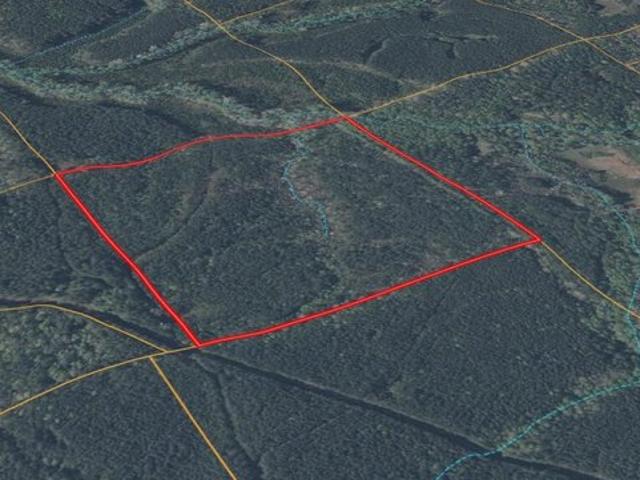 County Road 2442, Saltillo, MS 38849