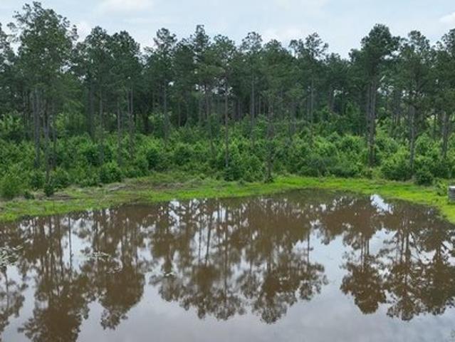 County Road 2468, Douglassville, TX 75560