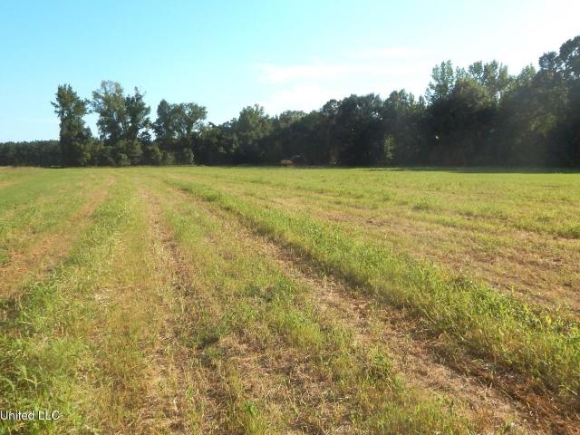County Road 247, Bruce, MS 38915