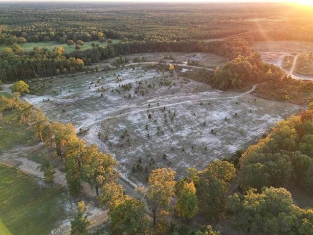 County Road 249, Fouke, AR 71837