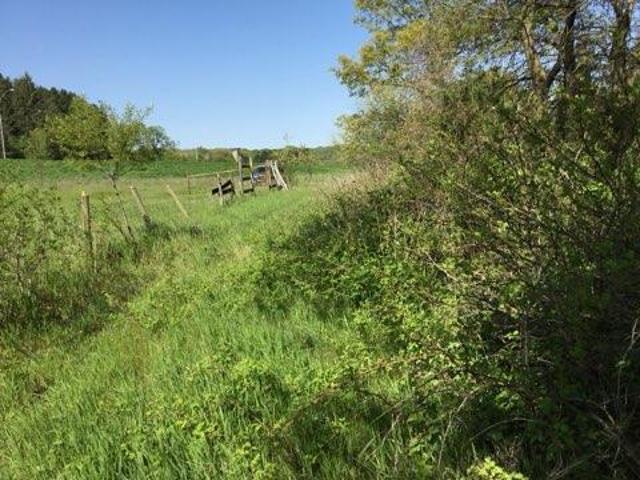 County Road 24 & 63rd Ave