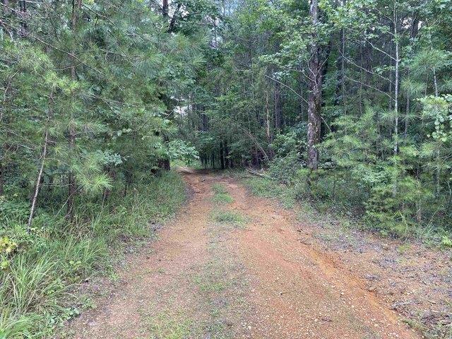County Road 24, Eldridge, AL 35554