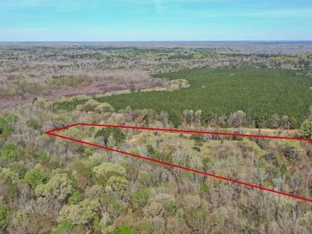County Road 2513, Naples, TX 75568