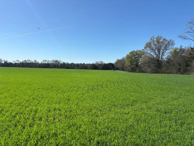 County Road 256, Houston, MS 38851