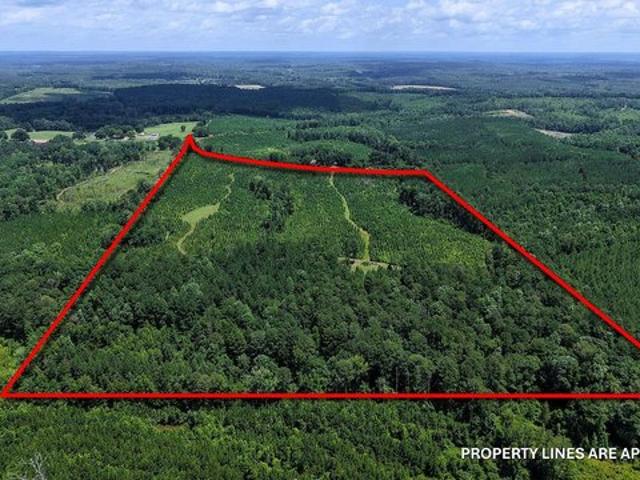 County Road 25, Banks, AL 36005