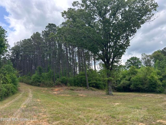 County Road 2608, Philadelphia, MS 39350