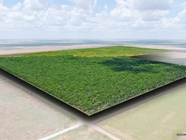 County Road 260, Anson, TX 79501