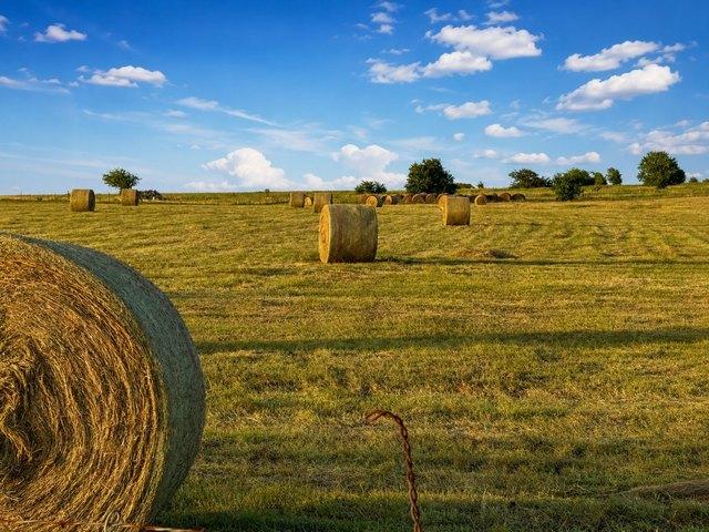 County Road 2625, Decatur, TX 76234