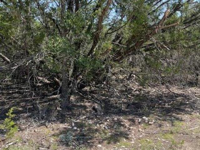 County Road 2644, Lometa, TX 76853