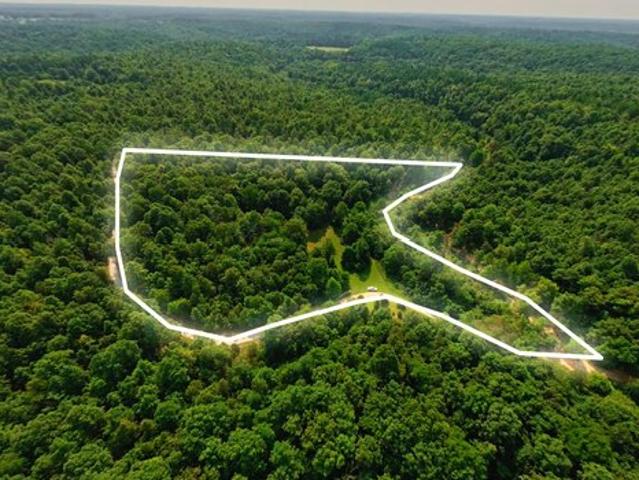 County Road 2661, Mountain View, MO 65548