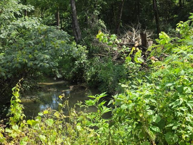 County Road 267, Niota, TN 37826