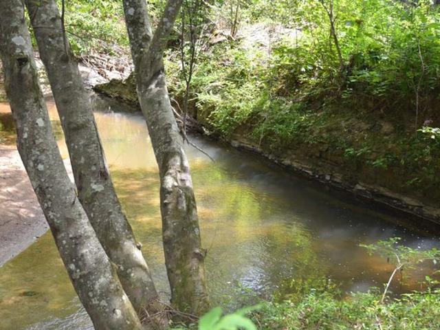 County Road 269, Wedowee, AL 36278