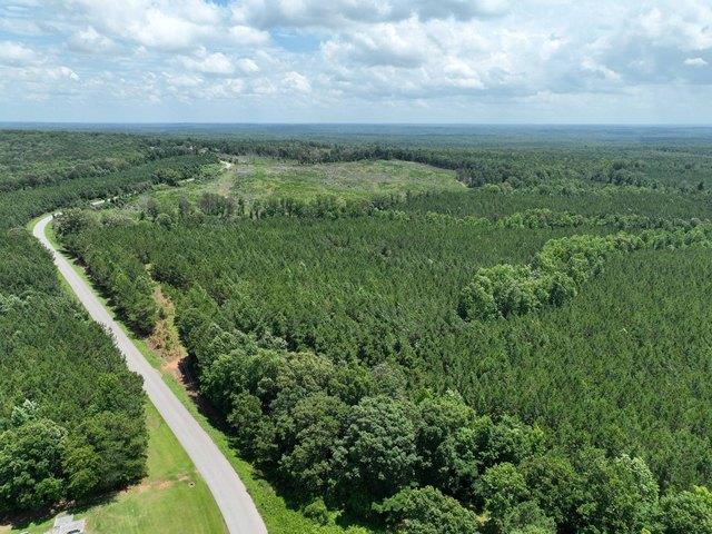 County Road 26, Wadley, AL 36276