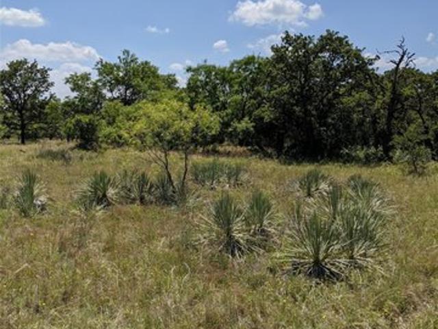County Road 271, Rising Star, TX 76471