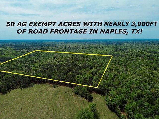 County Road 2742, Naples, TX 75568