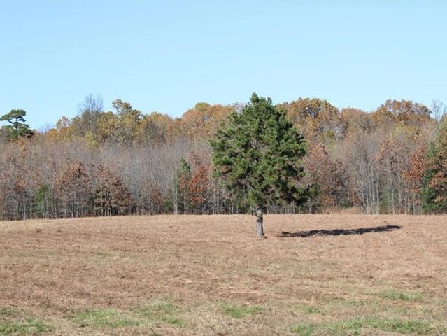 County Road 2780, Mountain View, MO 65548