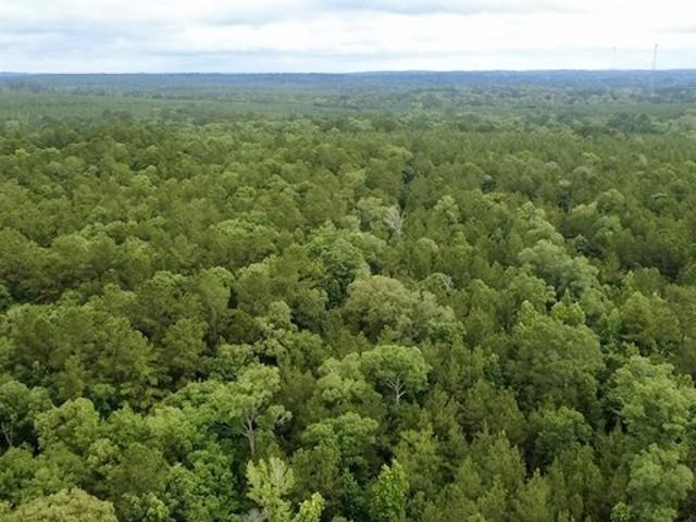 County Road 2780, Colmesneil, TX 75938