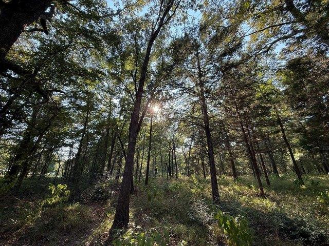 County Road 2798, Mineola, TX 75773