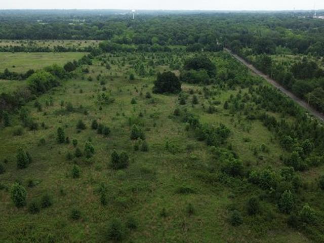 County Road 2805, Mineola, TX 75773