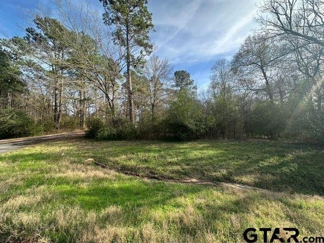 County Road 286, Garrison, TX 75946