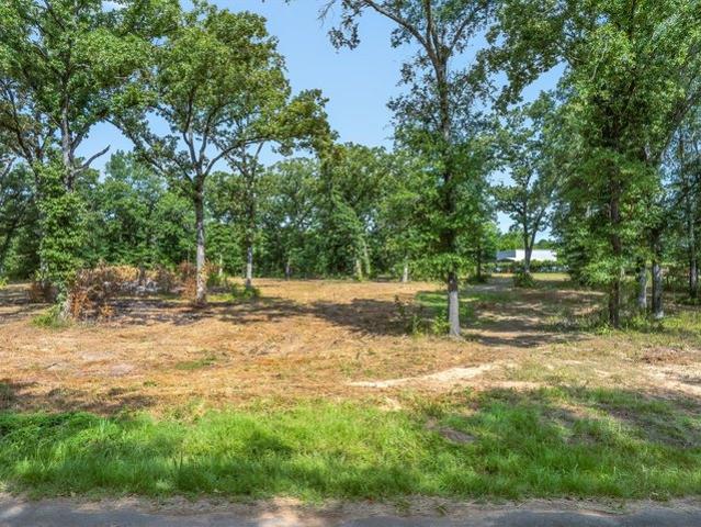County Road 2880, Mineola, TX 75773