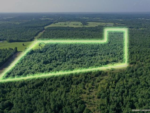County Road 2907, Hughes Springs, TX 75656