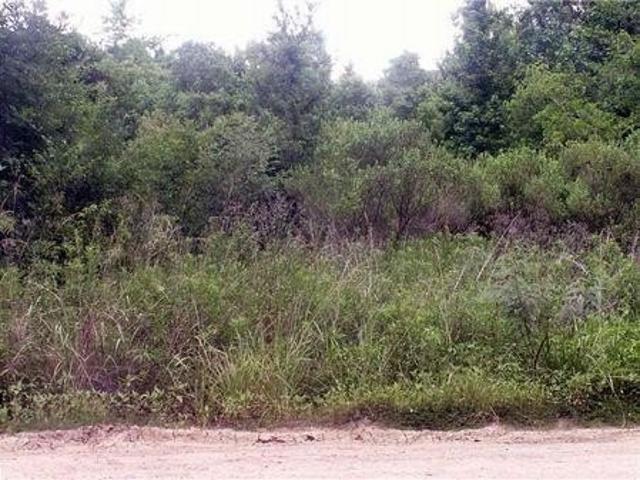 County Road 2926, Cleveland, TX 77327