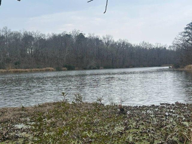 County Road 29, Alberta, AL 36720