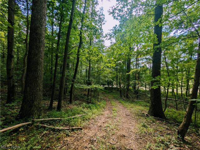 County Road 33
