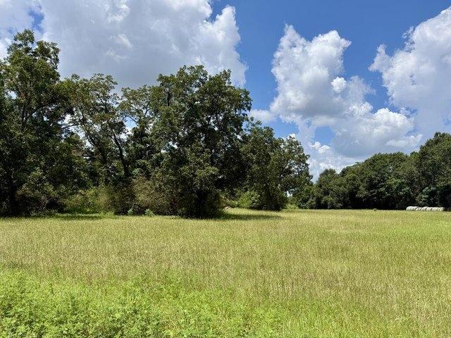 County Road 33, Ashford, AL 36312